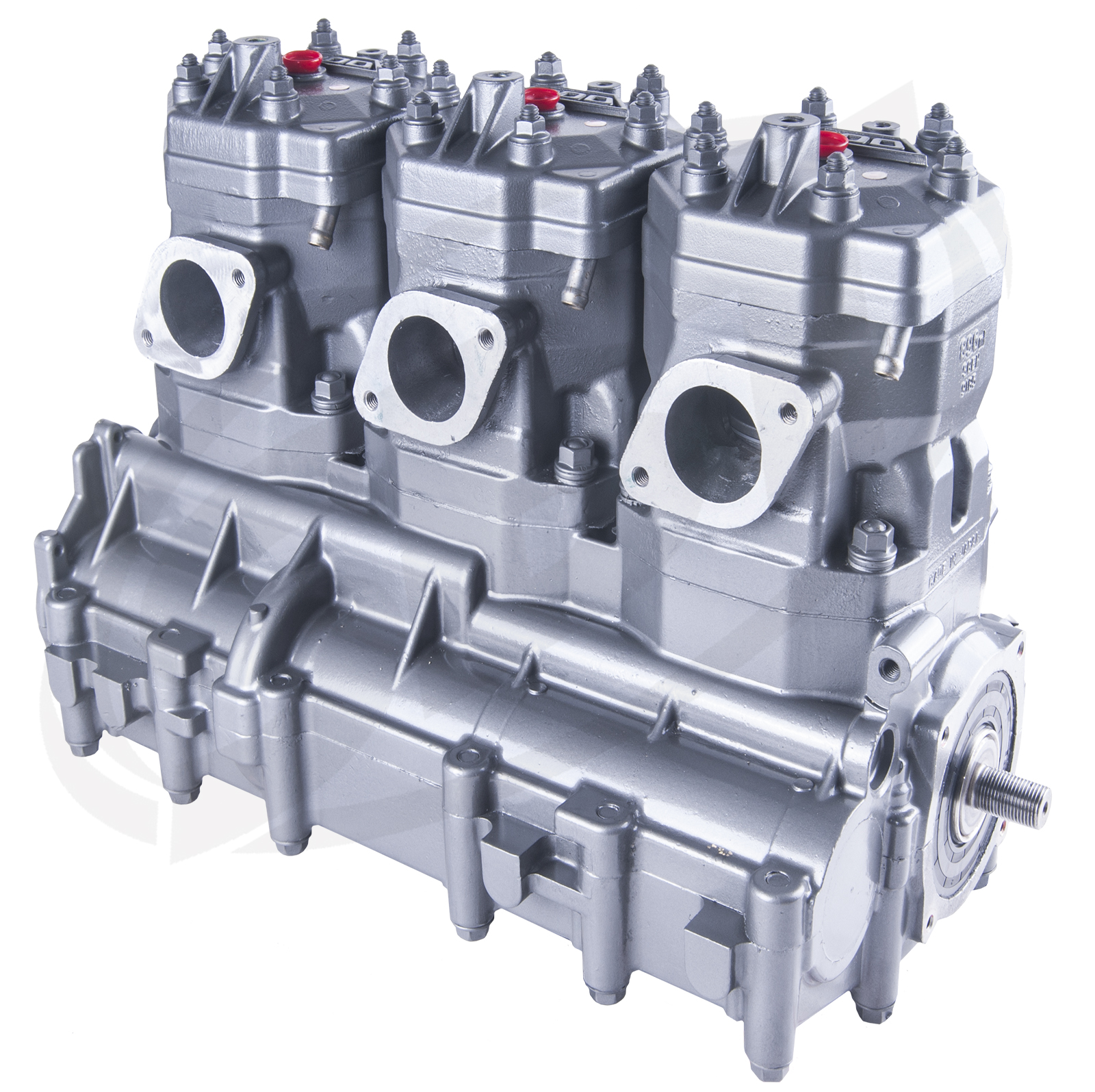 Engine for Tigershark 900 (24mm output shaft) Monte Carlo 1995-1996 ...